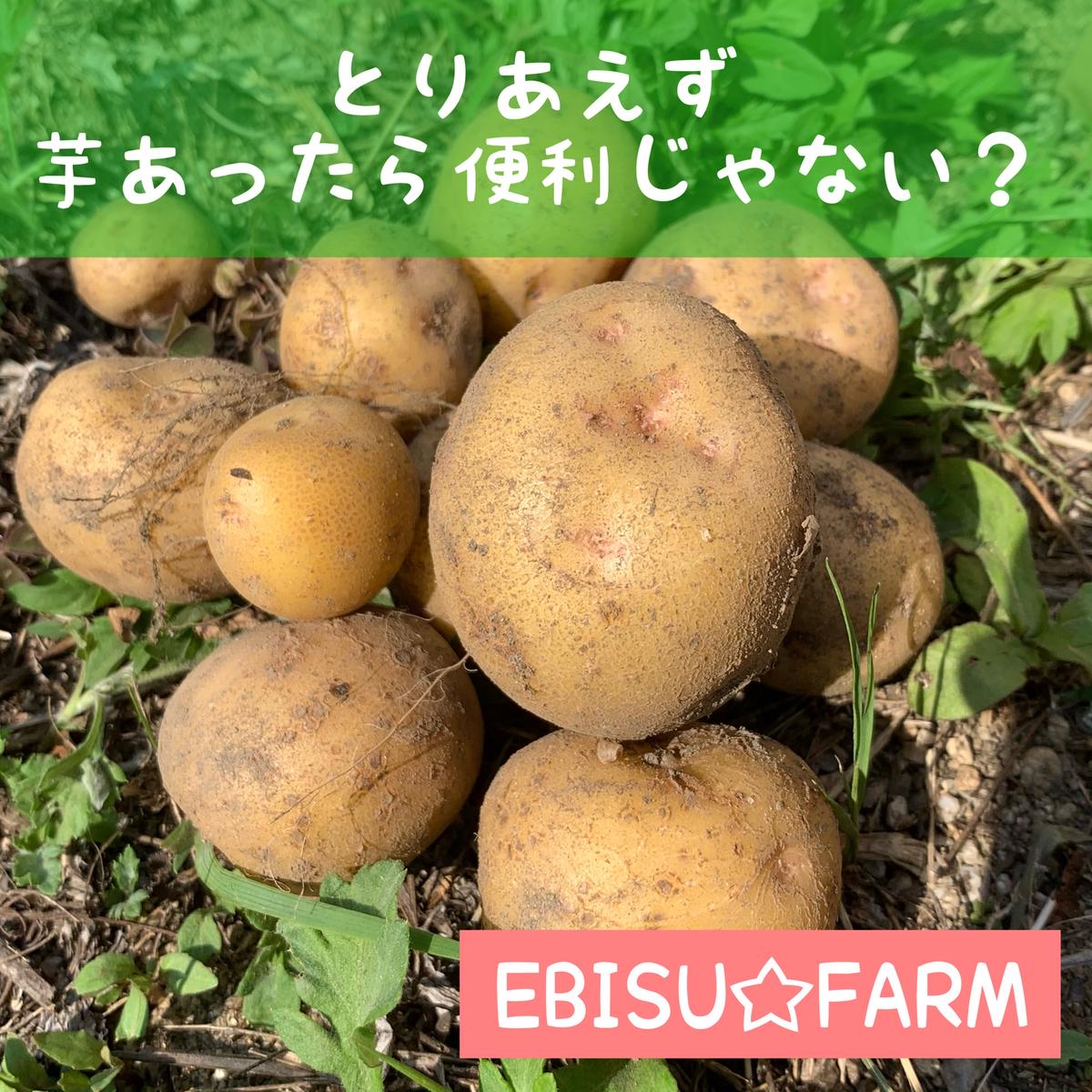 EBISU☆FARMさんがコミュニティ向けに「🥔えびじゃが。...」投稿しました | 産直アウル