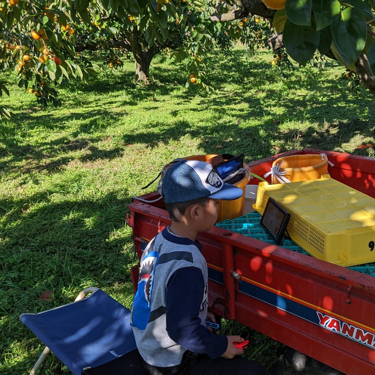 信ちゃん果樹園さんがコミュニティ向けに「インドア？アウ...」投稿しました | 産直アウル