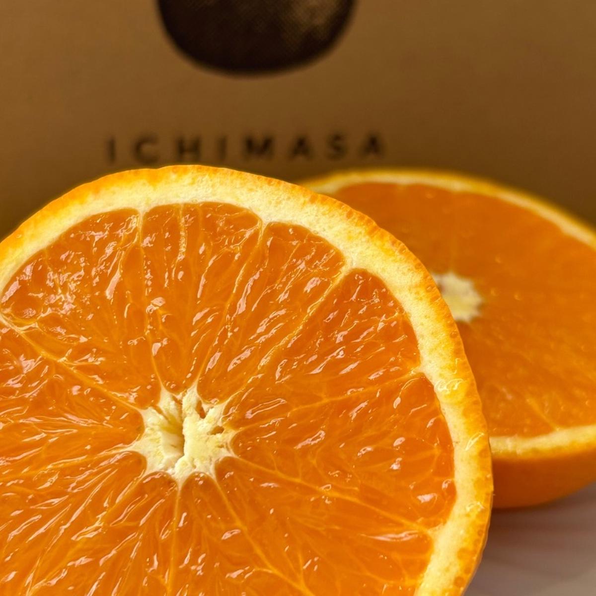 ICHIMASAさんがコミュニティ向けに「清見在庫を追加...」投稿しました | 産直アウル