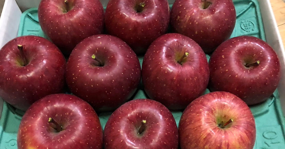 あんぱんさんが さいとうファーム の 『完熟サンふじ』規格外（ツルワレ）9個から11個入り 3kg箱入り についてのごちレポ「完熟サンフジ」を投稿しました | 産直アウル