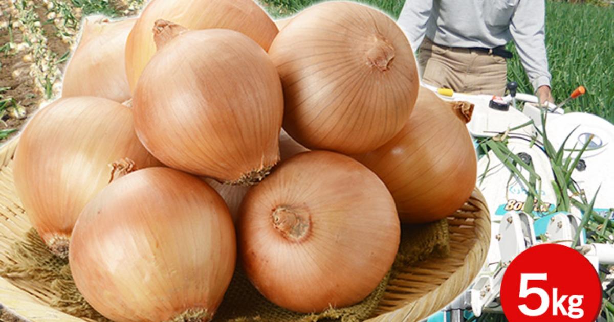 かこさんが 淡路島たまねぎ 今井ファーム の 淡路島たまねぎ5kg（2L） についてのごちレポ「びっくり!(^^)!」を投稿しました | 産直アウル