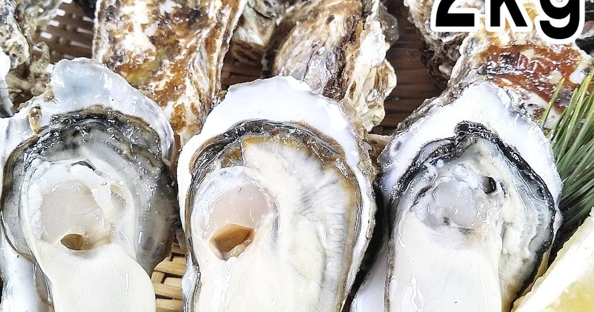 シーパパさんが 松島牡蠣屋 の 【期間限定ムール貝のおまけつき】生食用 殻付き 牡蠣 2kg（14~35粒）2キロ 牡蠣 殻付き 牡蛎 牡蠣 殻付 宮城県産 カキ 松島牡蠣屋 生牡蠣 について ...