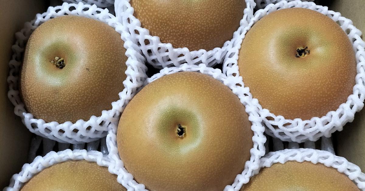 mokoさんが まるふくふぁーむ の あきづき 8玉入り 4kg以上 (農カード付き) についてのごちレポ「久しぶりの熊本の梨」を投稿しました ...