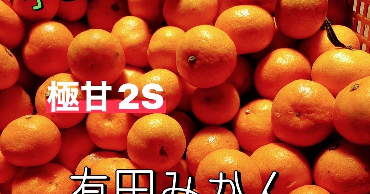 えりあるさんが カッキーファーム の 有田みかん 2S 5kg 数量限定 についてのごちレポ「丁度いい大きさ。」を投稿しました | 産直アウル