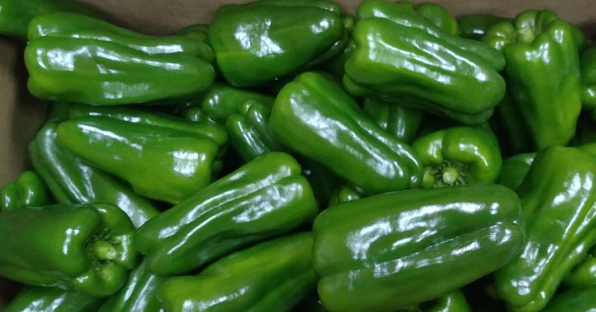 風の詩さんが IZUMI の 物価高騰、時短に一役！B規格 2L 4Kg についてのごちレポ「4度目のリピートです」を投稿しました | 産直アウル