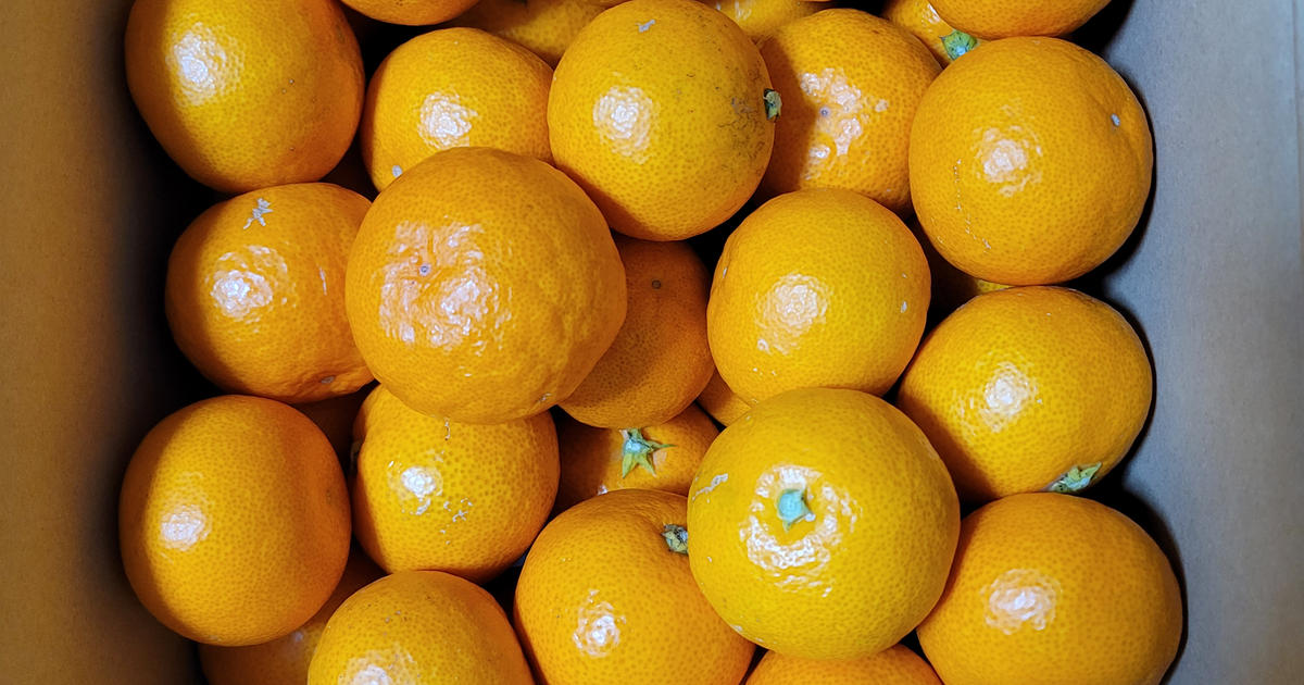 し ら た まさんが 里美農園 の 小玉 有田みかん 3S〜2Sｻｲｽﾞ(キズあり)箱込み3kg についてのごちレポ「とっても甘いみかんでした！感激！ 」を投稿しました | 産直アウル