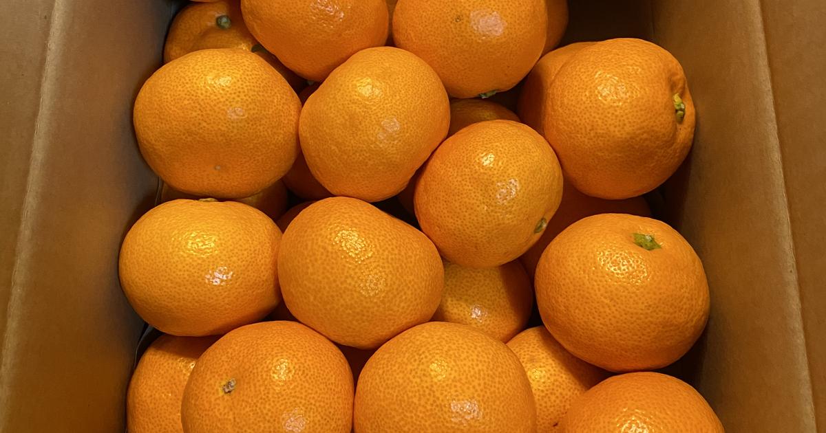 にわこさんが 里美農園 の 小玉 有田みかん 3S〜2Sｻｲｽﾞ(キズあり)箱込み3kg についてのごちレポ「キズアリナンテ」を投稿しました | 産直アウル