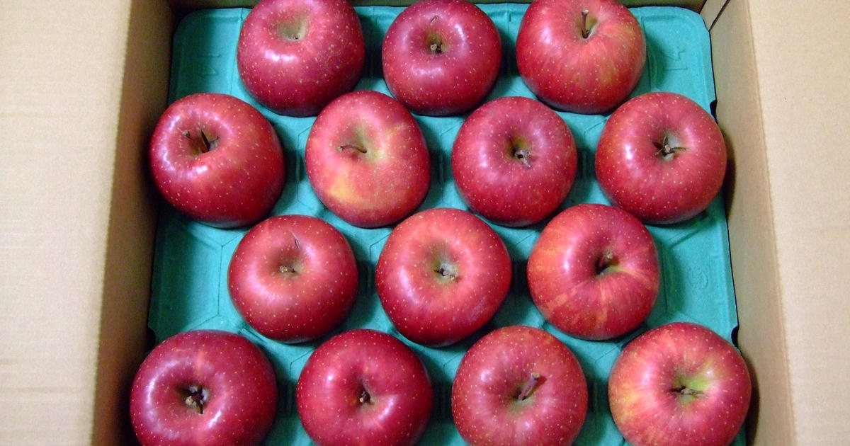 sanosakuriさんが 沼沢果樹園 の 希少品種 紅秋光ご家庭用（べにしゅうこう） についてのごちレポ「美味しい」を投稿しました | 産直アウル