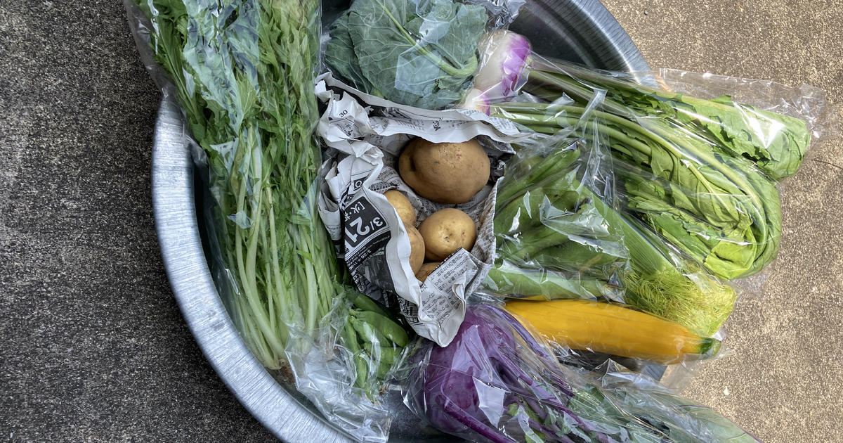 MARUCOさんが 小田島ファーム の ☆M(70)サイズ☆四季の畑のアソート、房総の恵みを味わう詰め合わせ♪ についてのごちレポ「とても美味しい」を投稿しました | 産直アウル