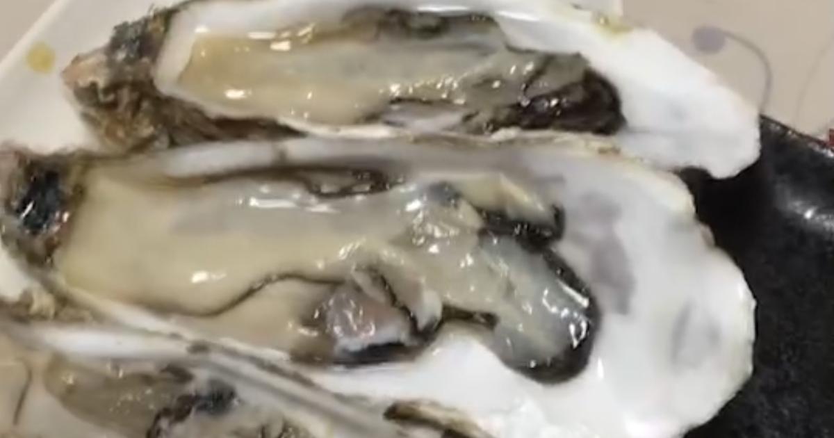 Takaさんが 株式会社イワムラ水産 の 【旬祭限定】旬到来！ バラ牡蠣 7kg 45から55個くらい 生食可 【飲食店向け】【アウルの日】 についてのごちレポ「これは素晴らしい！」を投稿し ...