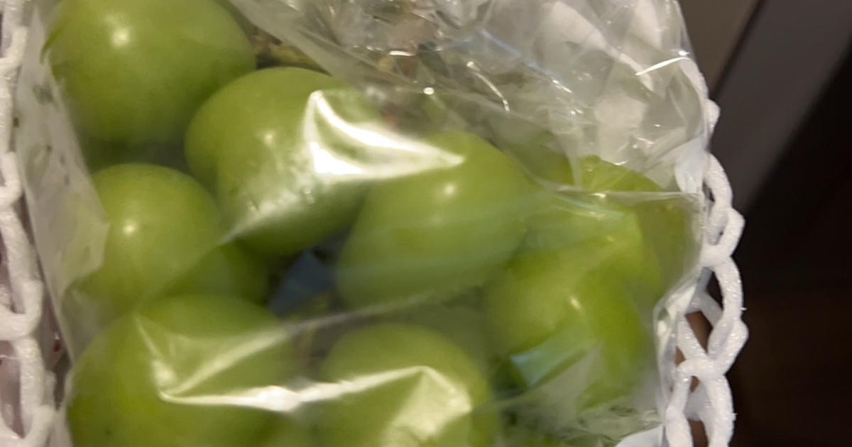 陽のまるさんが アンスリーファーム店 の 【訳あり品】 化学肥料・除草剤不使用 山形県産 シャインマスカット 約800g～1.2kg SHAW01-01 についてのごちレポ「大きなマスカット ...