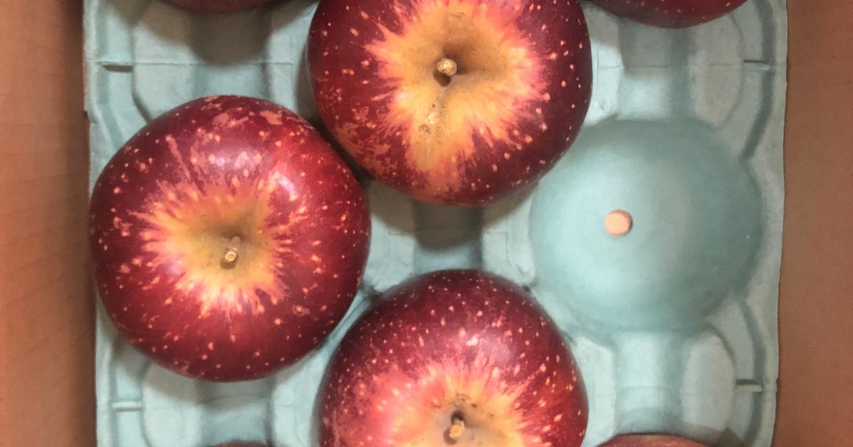 cofumoさんが 遠山農園 の 【家庭用】秋映 約3kg 6～12個 長野県産りんご についてのごちレポ「大きくてシャキシャキ」を投稿しました | 産直アウル