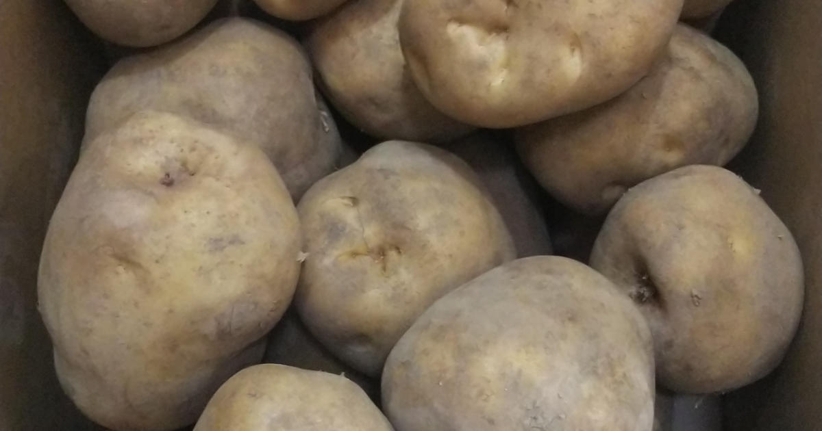 クロミさんが 北海道あっさぶ・ささき直売所 の 大きいキタカムイ約10kg【3Lサイズ】 についてのごちレポ「大きなじゃがいも！！」を投稿しました | 産直アウル