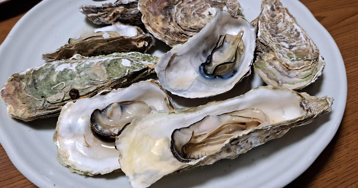 ミュート さんが ⭐︎栄進丸⭐︎ の 【3月15日くらいまで！】鬼がかりな美味さ🫶サロマ湖の2年牡蠣 12k についてのごちレポ「美味しい牡蠣 ...