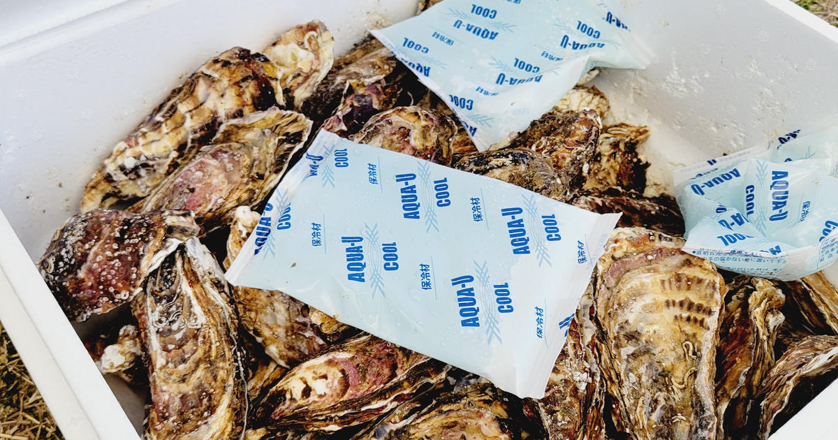 SAママさんが 株式会社イワムラ水産 の 【旬祭限定】旬到来！ バラ牡蠣 7kg 45から55個くらい 生食可 【飲食店向け】【アウルの日】 についてのごちレポ「美味しかったです🎵」を投稿し ...