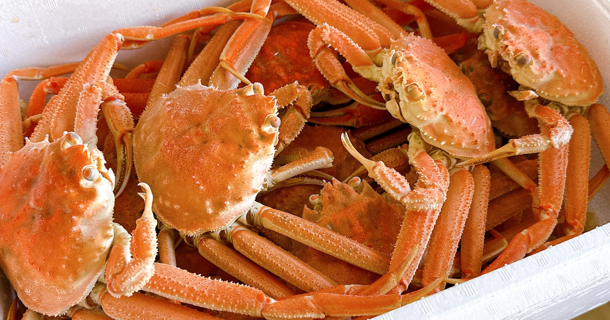 Mokoさんが 眞鍋商店 の 北海道噴火湾産オオズワイガニ浜茹で3キロ詰めセット についてのごちレポ「たっぷり入って美味しい！」を投稿しました ...