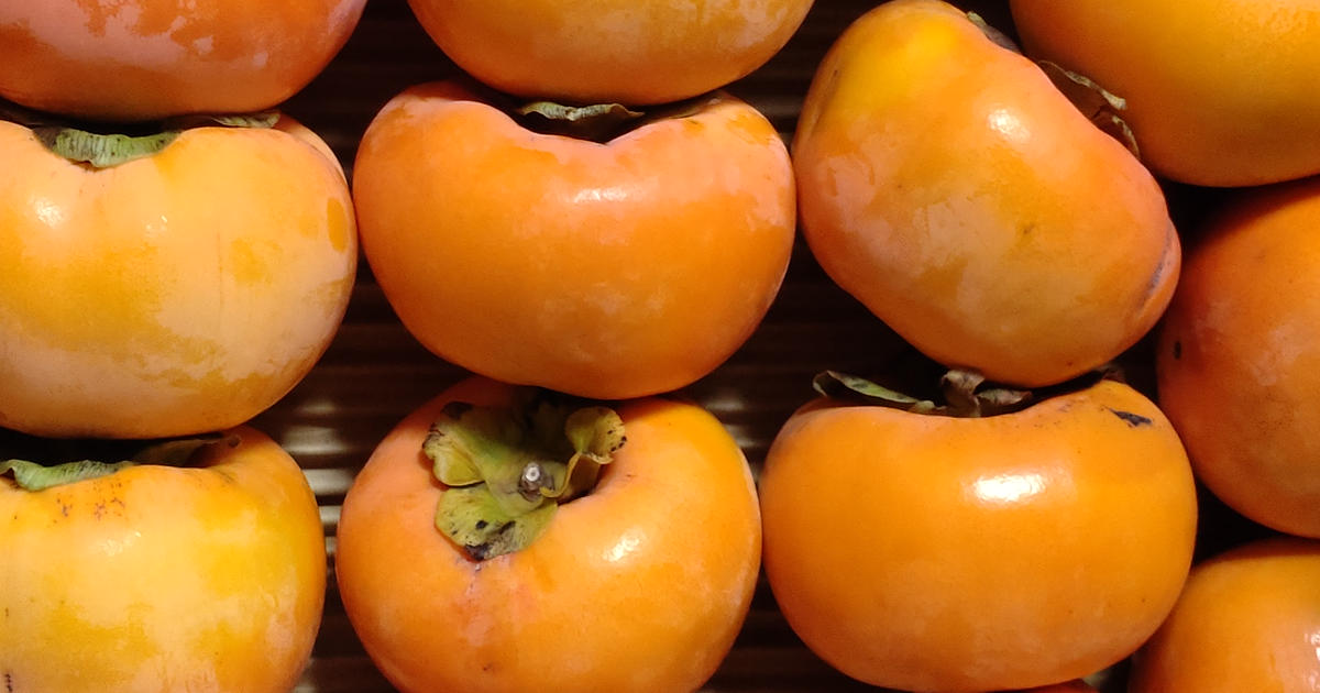 うさうささんが ヤマコー農園 の ヤマコー農園の富有柿 (家庭用) 6kg についてのごちレポ「甘々！」を投稿しました | 産直アウル