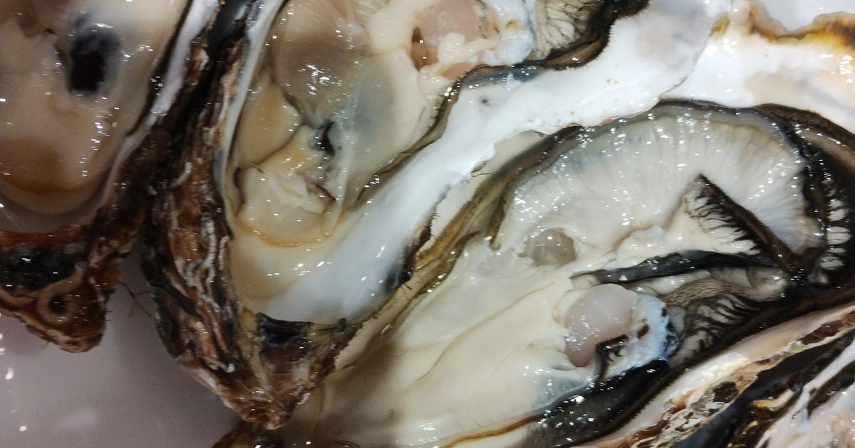 あや丸さんが ⭐︎栄進丸⭐︎ の 超限定【3日以内】の発送限定 特特大3k 15個前後 についてのごちレポ「美味しい＆大きい」を投稿しました ...