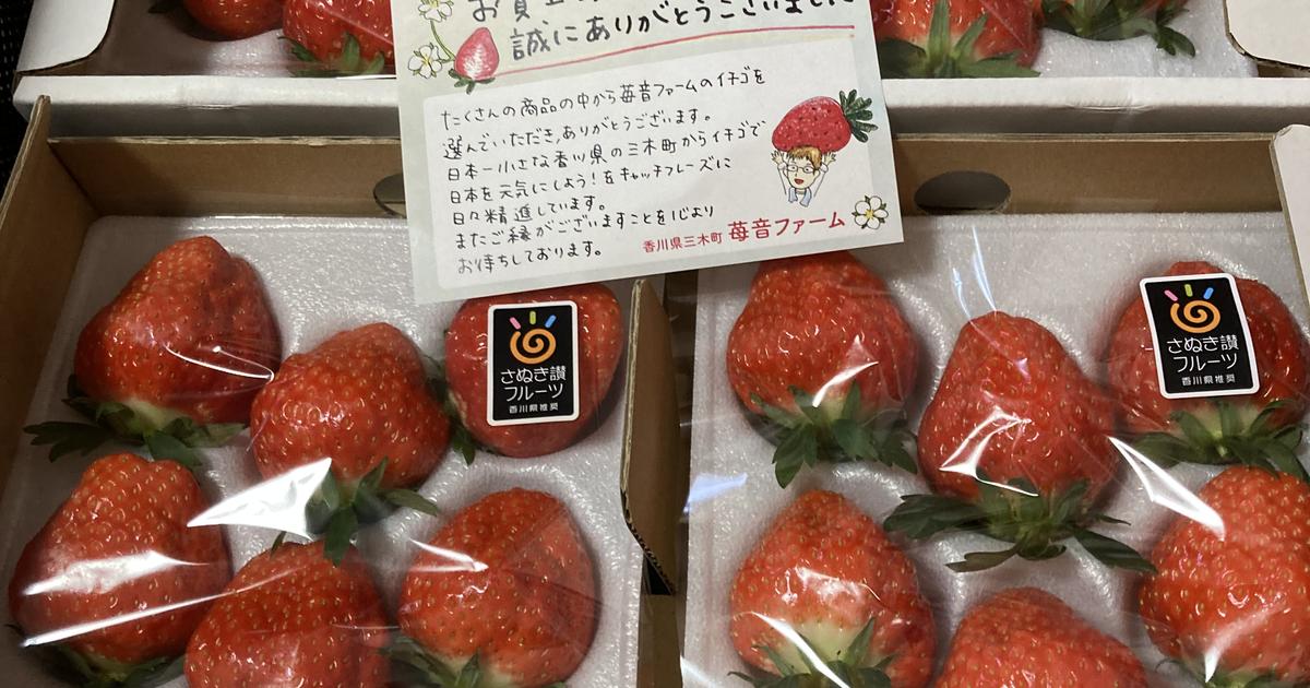 ユミコさんが 苺音ファーム の 《 SNSが得意じゃないイチゴ農家（41歳）が情熱を注ぐ》おうちでいちご狩り気分セット約1.7kg【苺音スタンダード約1.7kg】 についてのごちレポ「やっぱり ...