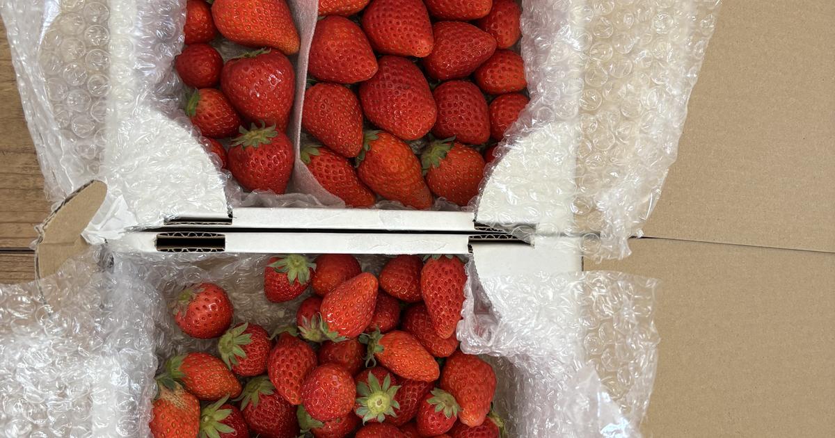 Mokoさんが ちほのいちごばたけ の トクトク🍓いちご箱＋小粒ばら詰め🍓完熟とちおとめ！ についてのごちレポ「小さくても美味しい」を投稿し ...