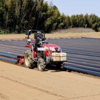 長期熟成！シルクスイート4kg【土付き･サイズ2S～S混載】 | 野菜/さつまいも 産直アウル 農家から直接野菜などの食材を購入できる産地直送の宅配通販サイト