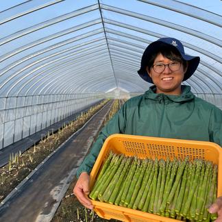 【数量限定】2025年北海道産！ここでしか出会えない青空ファーム池田の青空アスパラ(2L-3L/2kg) | 野菜/アスパラガス 産直アウル 農家から直接野菜などの食材を購入できる産地直送の ...