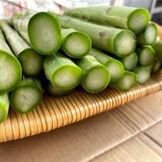 【数量限定】2025年北海道産！ここでしか出会えない青空ファーム池田の青空アスパラ(2L-3L/2kg) | 野菜/アスパラガス 産直アウル 農家から直接野菜などの食材を購入できる産地直送の ...