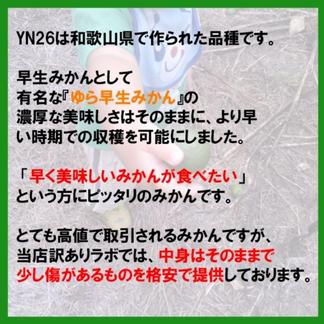 甘すぎる有田みかん 最高級 5kg 少農薬 地元から愛される新品種YN26 | 果物/温州みかん 産直アウル 農家から直接野菜などの食材を購入できる産地直送の宅配通販サイト