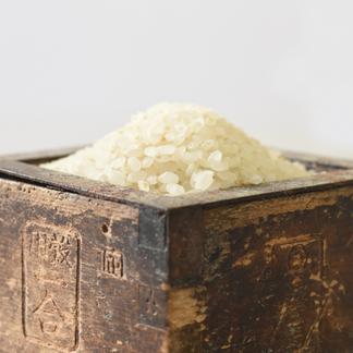 着日の指定可】 南魚沼産コシヒカリ2合×6袋 【お米の成長報告ギフト -megoi- | 米・穀物/米/精米 産直アウル 農家から直接野菜など ...