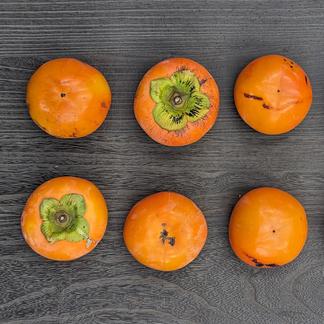 味わい深いコク＊富有柿＊【訳あり】小箱特大玉（3L/4L）約2kg | 果物/柿 産直アウル 農家から直接野菜などの食材を購入できる産地直送の宅配通販サイト