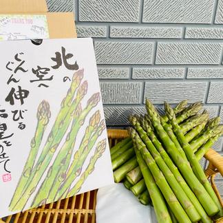 【佐々木様専用】北海道産！丁度よくて使いやすい！青空ファーム池田の青空アスパラ【L-2L/1kg】 | 野菜/アスパラガス 産直アウル 農家から直接野菜などの食材を購入できる産地直送の宅配通販サイト