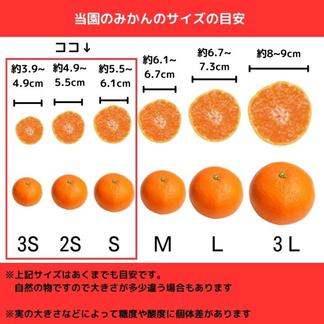 甘すぎる有田みかん 最高級 5kg 少農薬 地元から愛される新品種YN26 | 果物/温州みかん 産直アウル 農家から直接野菜などの食材を購入できる産地直送の宅配通販サイト