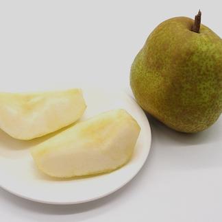 【山形県産 美味しいラ・フランス】5kg 2L玉 16～20個入りの訳あり品です!! | 果物/梨 産直アウル 農家から直接野菜などの食材を購入できる産地直送の宅配通販サイト