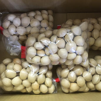 ＜無選別＞ほっこり銀杏！1haの銀杏畑♪令和7年産1kg(200g×5袋） | 野菜/その他野菜 産直アウル 農家から直接野菜などの食材を購入できる産地直送の宅配通販サイト