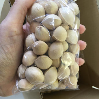 ＜無選別＞ほっこり銀杏！1haの銀杏畑♪令和7年産1kg(200g×5袋） | 野菜/その他野菜 産直アウル 農家から直接野菜などの食材を購入できる産地直送の宅配通販サイト