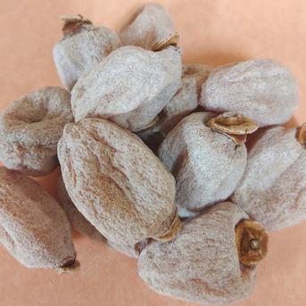 【6周年限定】【南信州産市田柿】900g（300g×3袋） | 果物/果物の加工品 産直アウル 農家から直接野菜などの食材を購入できる産地直送の宅配通販サイト